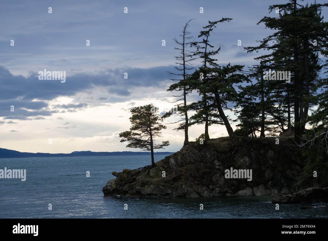 Dark moody sky over a small bluff with trees above the ocean with ...