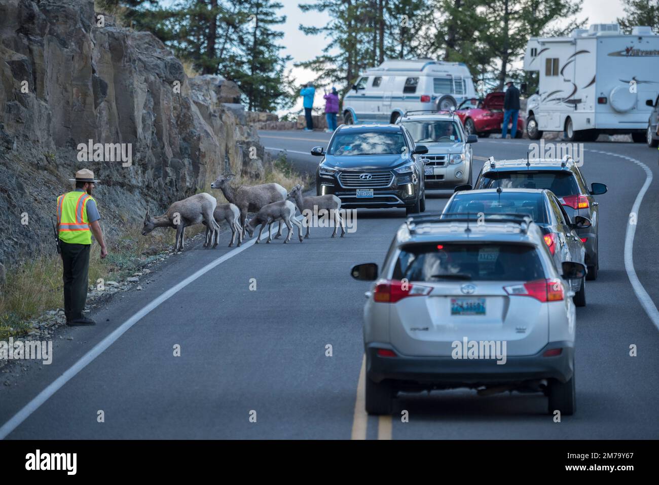USA, Wyoming, Yellowstone, National Park, UNESCO, World Heritage ...