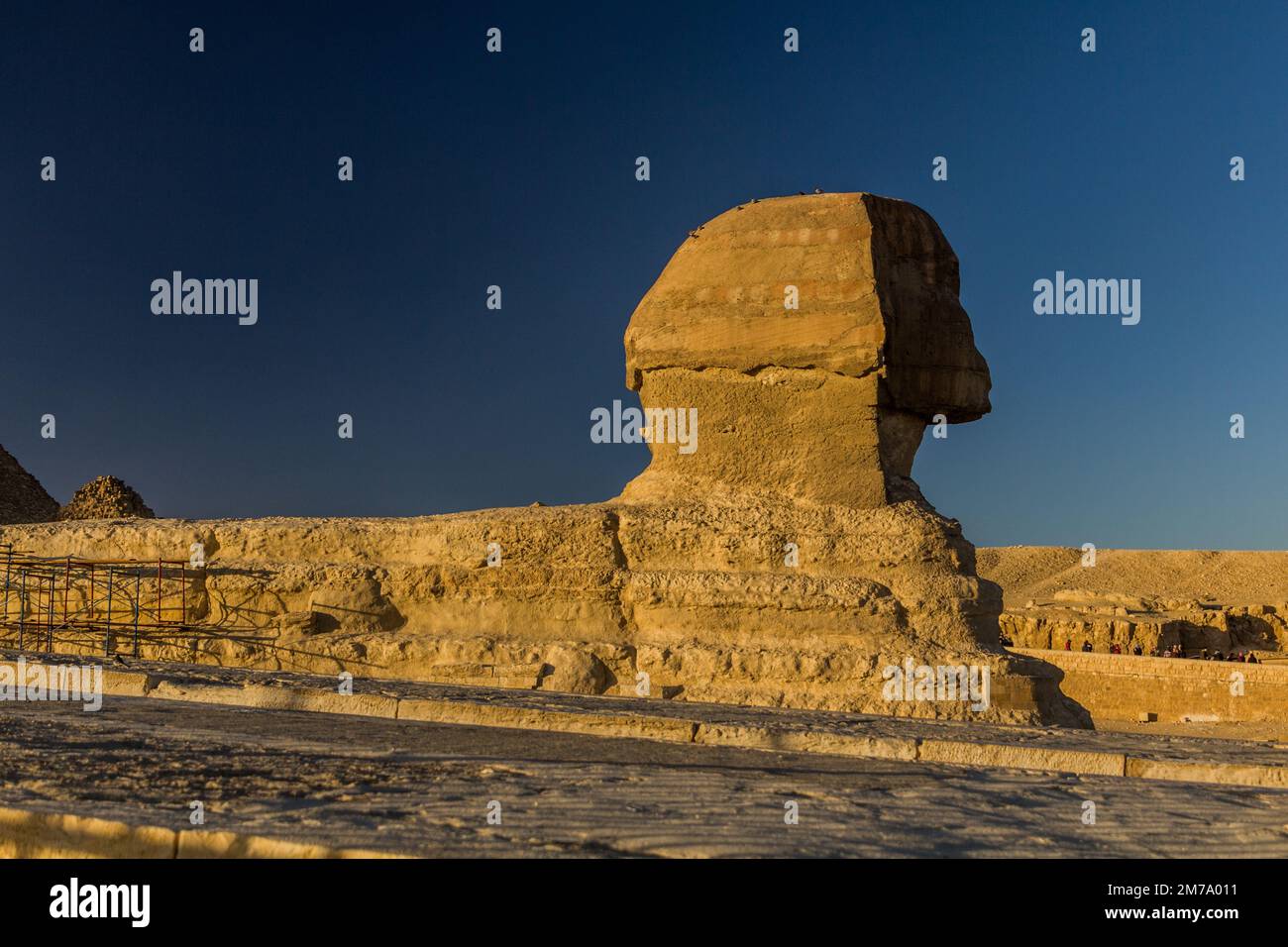 View of the Sphinx in Giza, Egypt Stock Photo - Alamy