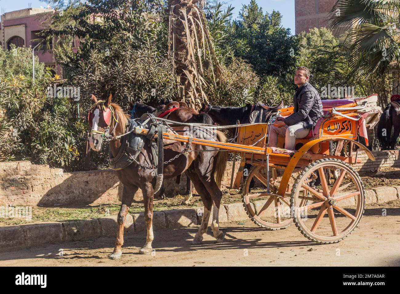 Horse drawn carriage pyramids hi-res stock photography and images - Alamy