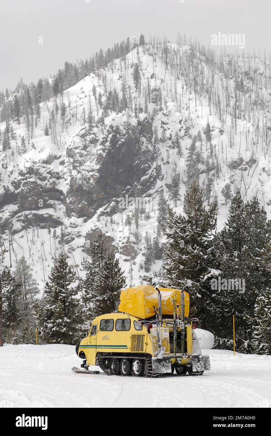 USA, Rocky Mountains, Wyoming, Yellowstone, National Park, UNESCO ...