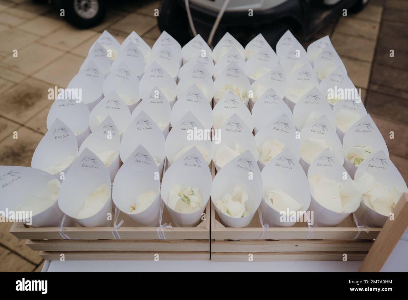A close-up shot of separate flower petals in boxes Stock Photo - Alamy
