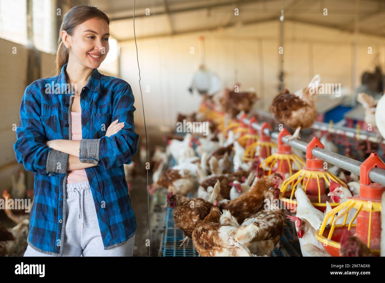 Female poultry farm worker hi-res stock photography and images - Alamy