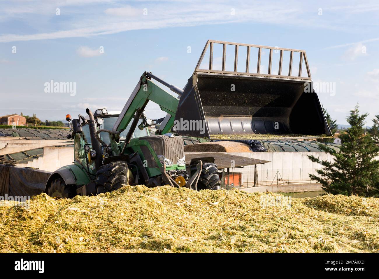 Production of fodder in agricultural complex Stock Photo - Alamy