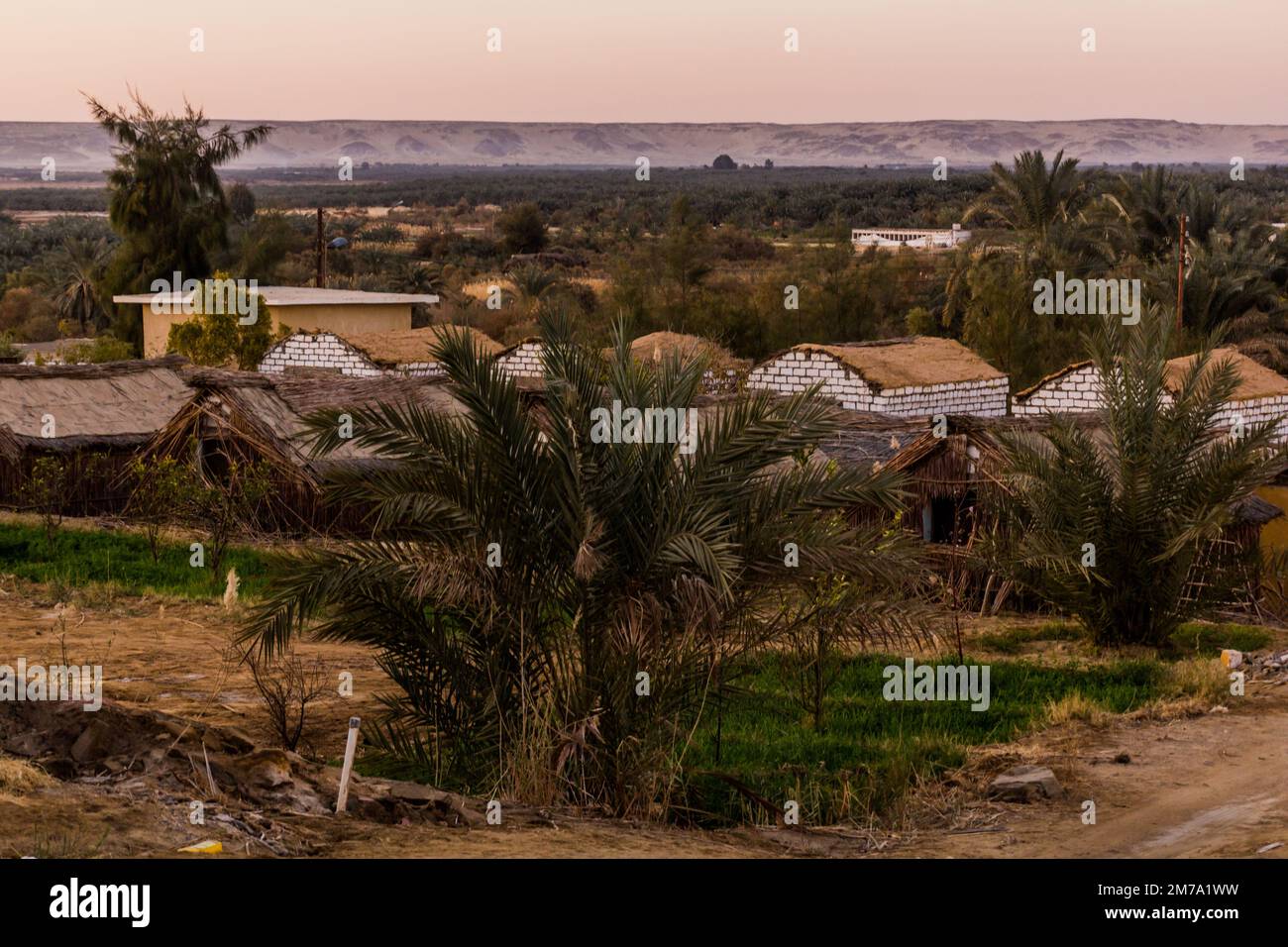 Desert camp in Bahariya oasis, Egypt Stock Photo - Alamy