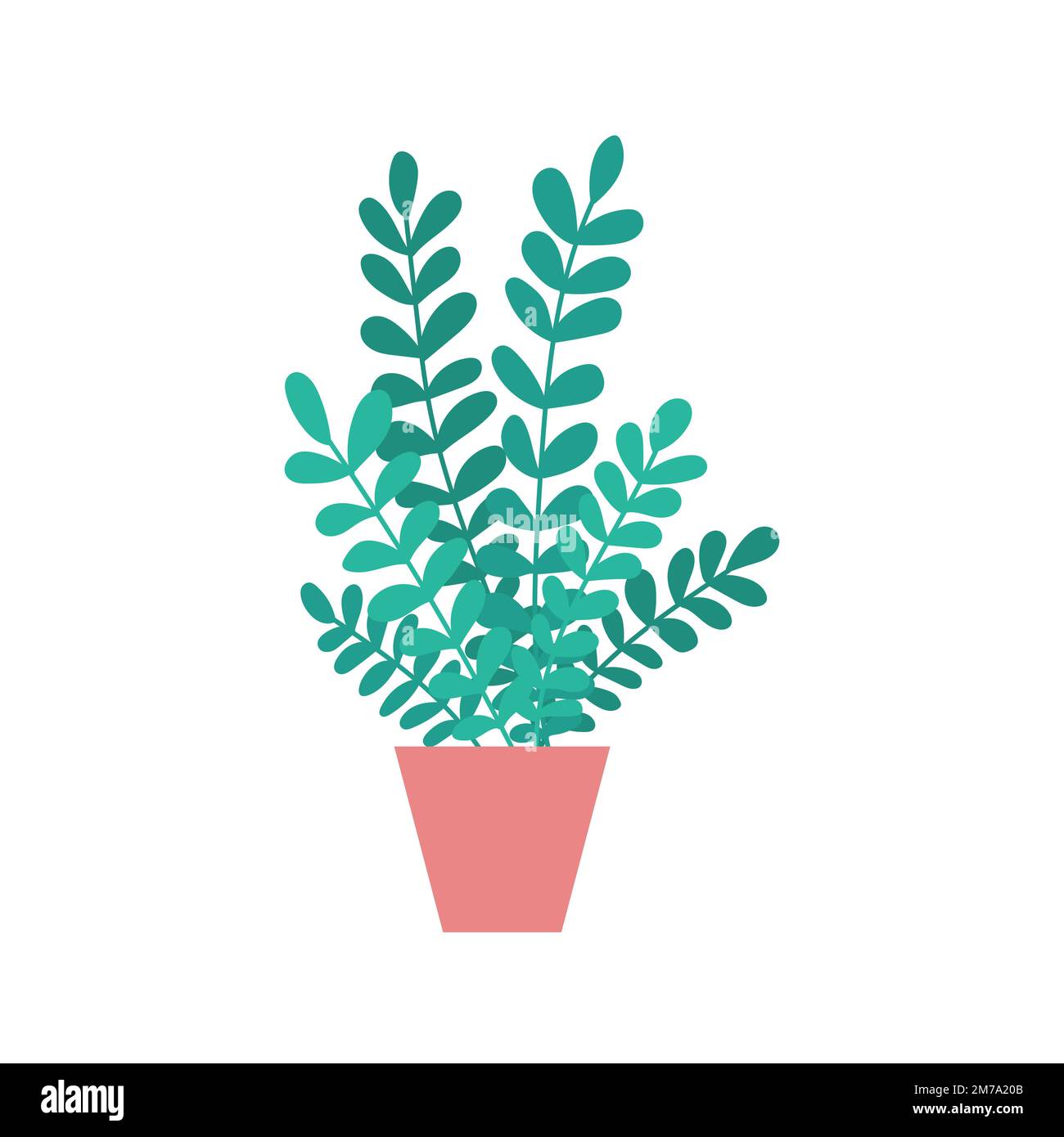 House plant vector illustration Stock Vector Image & Art - Alamy