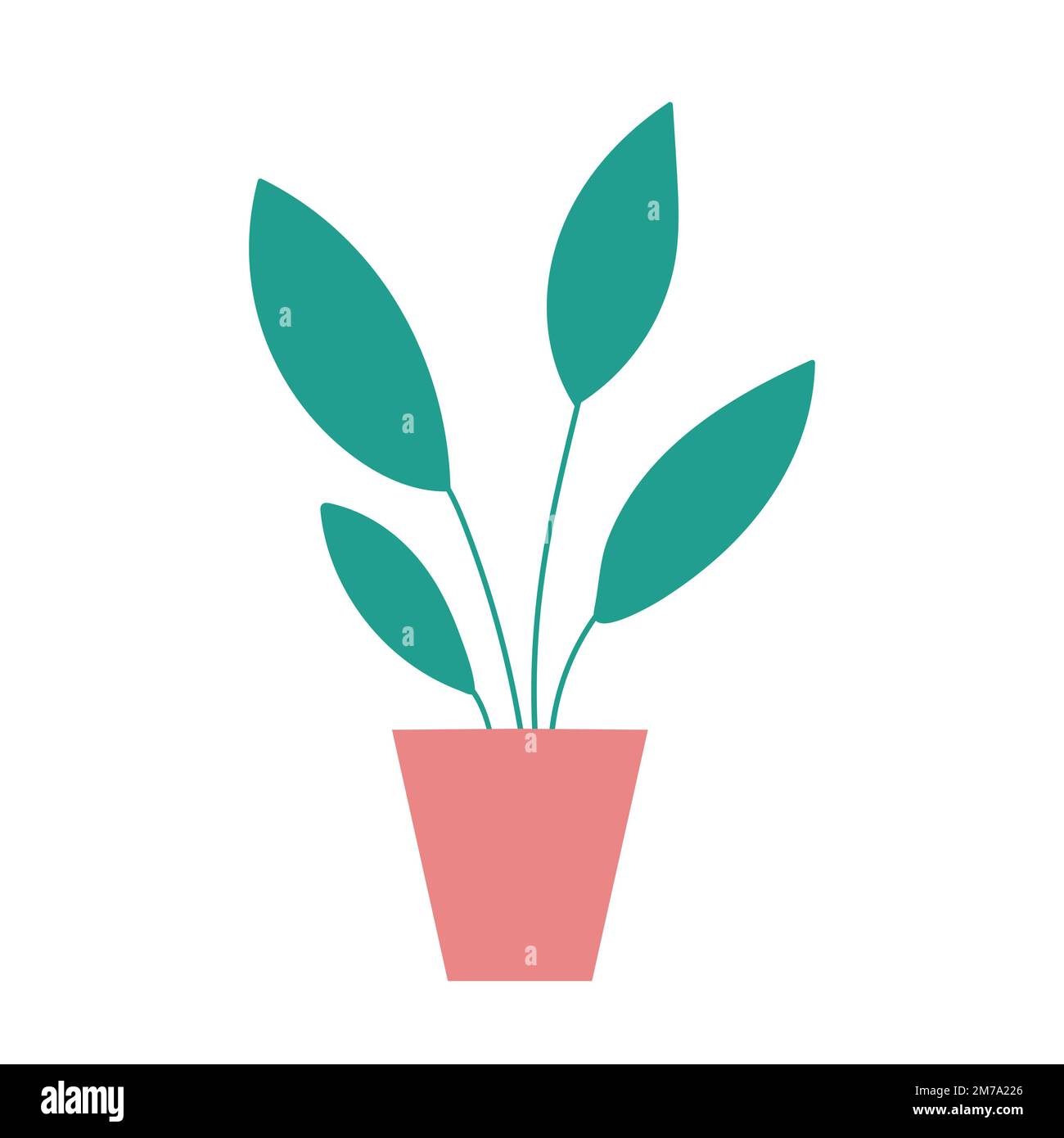 House plant vector illustration Stock Vector Image & Art - Alamy