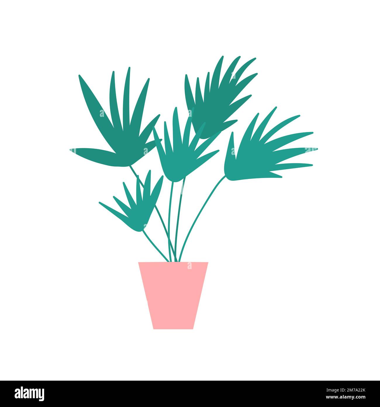 House plant vector illustration Stock Vector Image & Art - Alamy