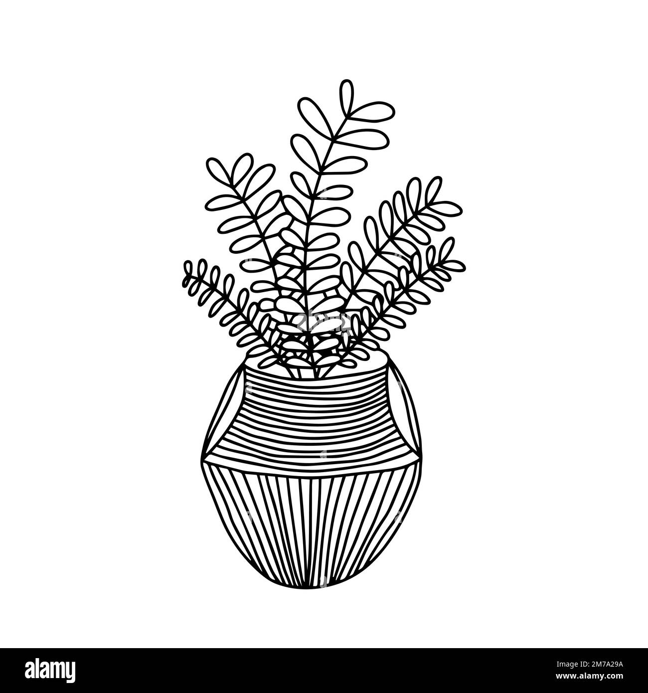 House plant vector illustration Stock Vector Image & Art - Alamy
