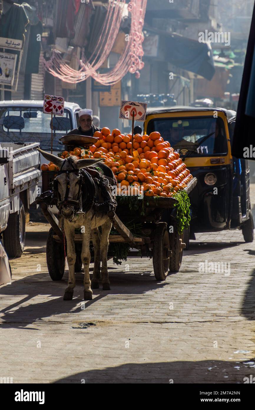 Food street in egypt 2019 hi-res stock photography and images - Alamy
