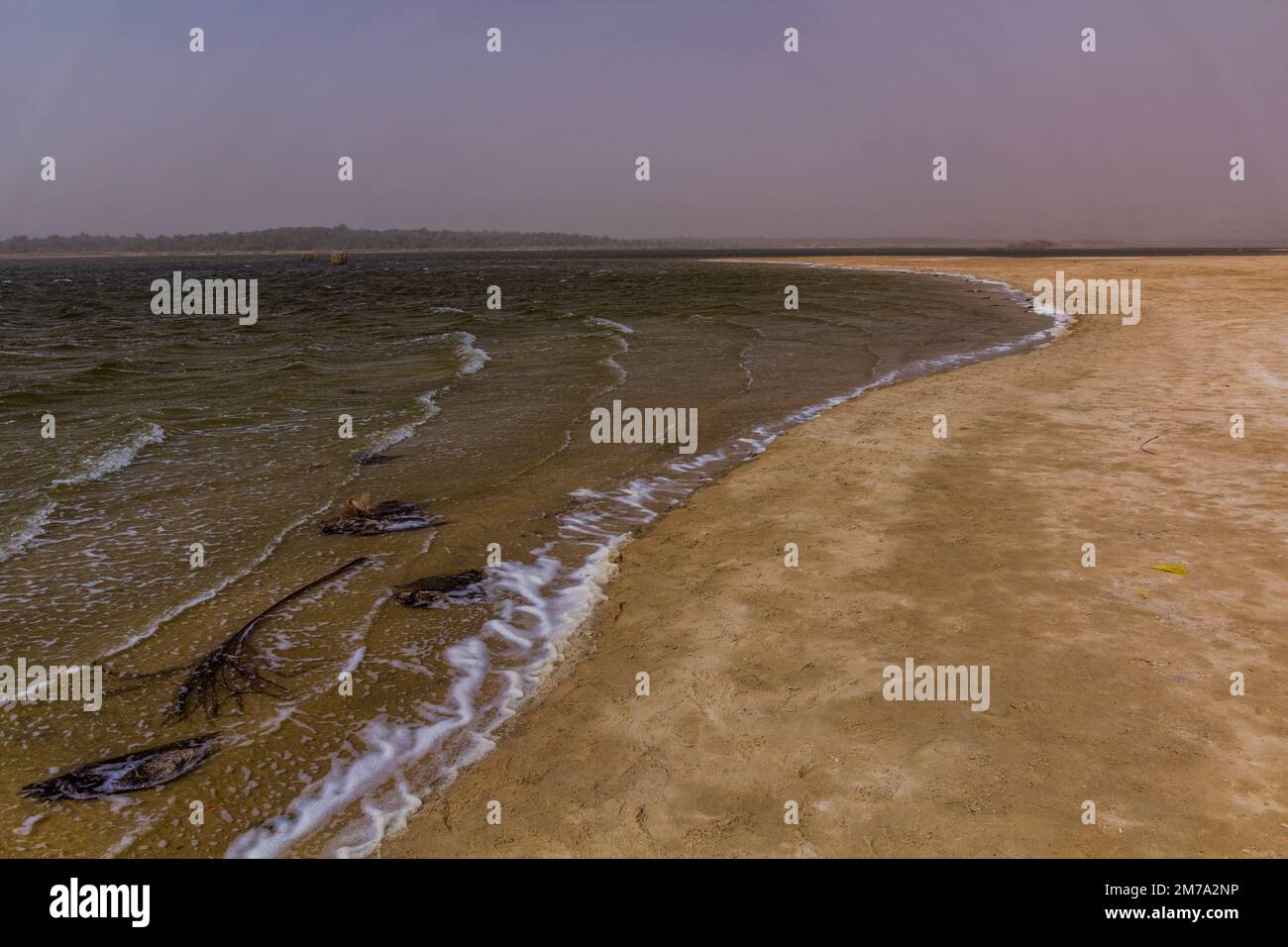 Salt lake siwa oasis egypt hi-res stock photography and images - Alamy