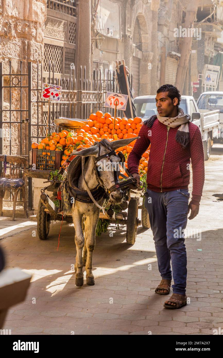 Food street in egypt 2019 hi-res stock photography and images - Alamy