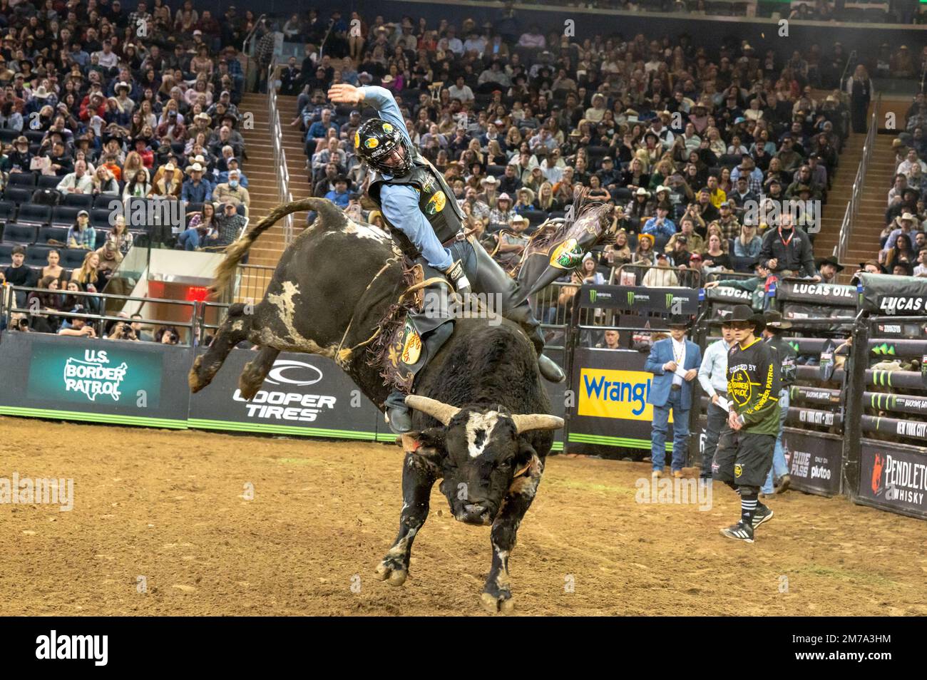 New York, New York, USA. 7th Jan, 2023. (NEW) 2023 Professional Bull ...