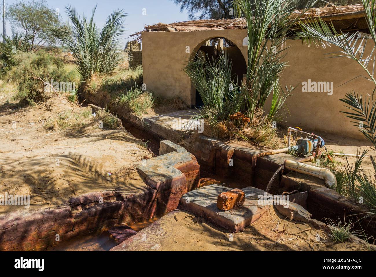 Desert hot spring in Bahariya oasis, Egypt Stock Photo - Alamy