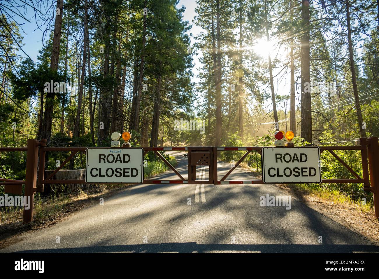 Road To Hetch Hetchy Before Opening In The Morning to a remote part of ...