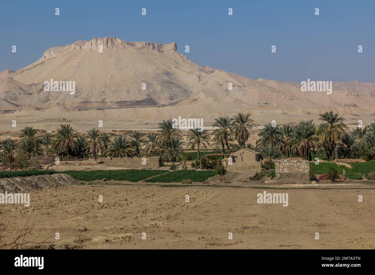 View of Dakhla oasis, Egypt Stock Photo - Alamy