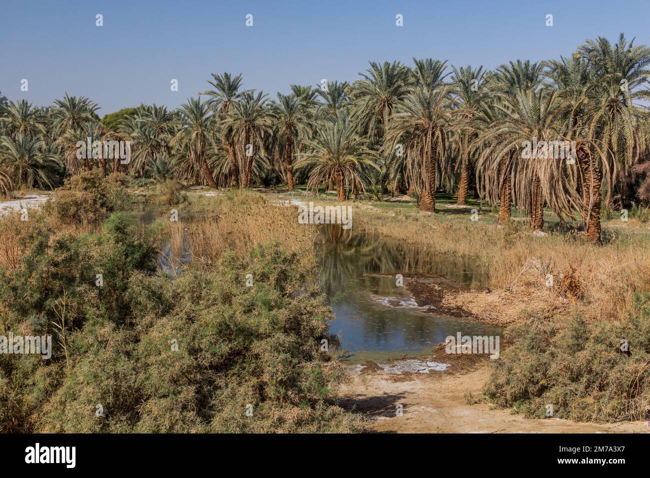 Small farm egypt hi-res stock photography and images - Alamy