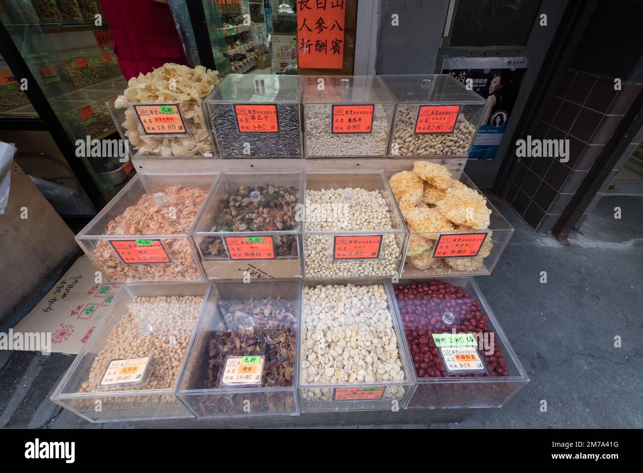Display with multiple dividers containing different seeds in the ...