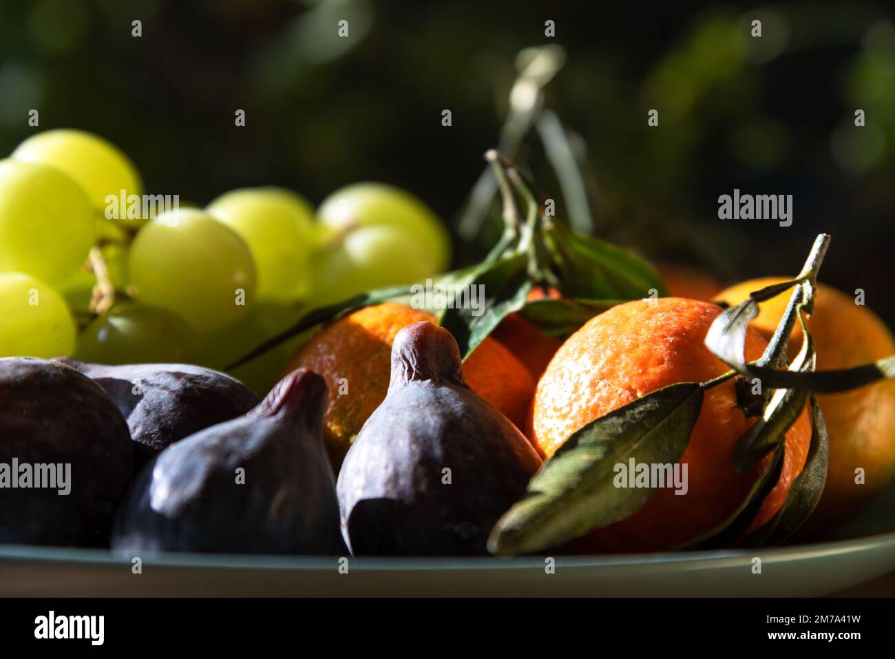 Colorful organic fruits from local farmer market on plate outdoor on ...