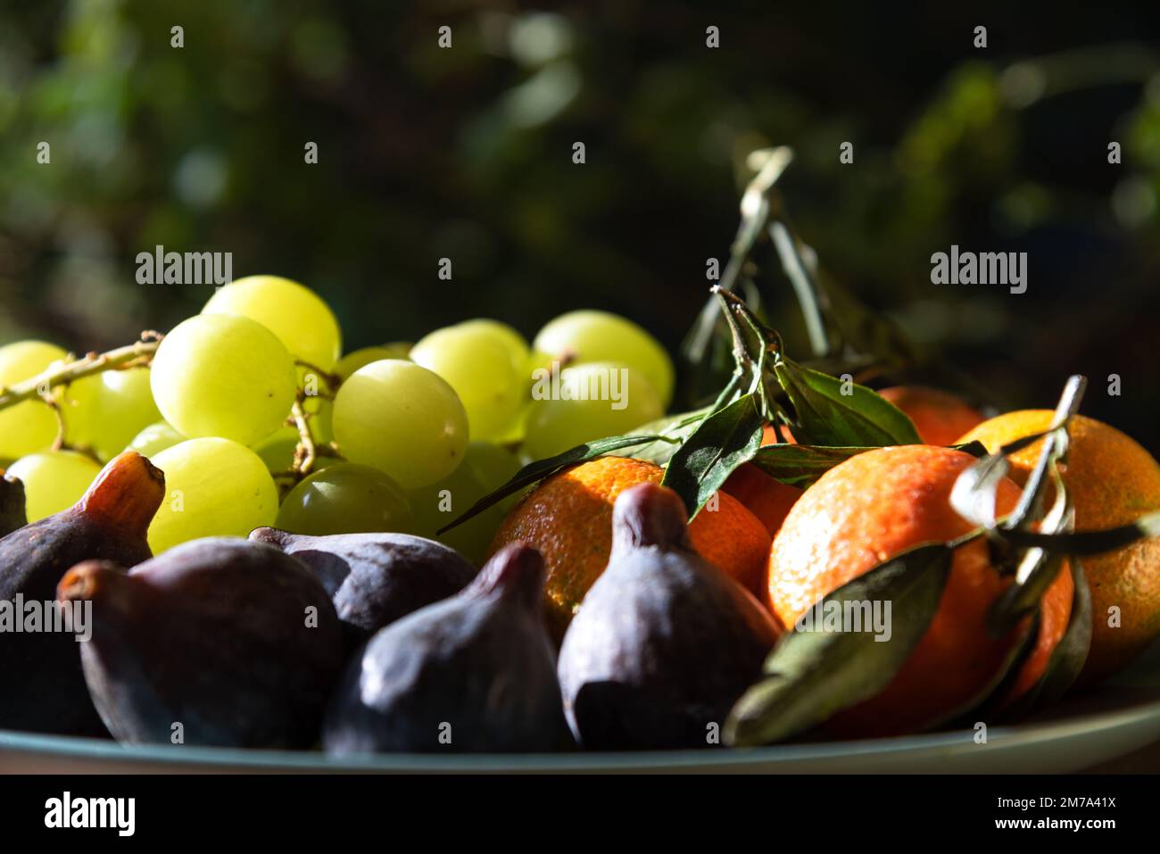 Colorful organic fruits from local farmer market on plate outdoor on ...