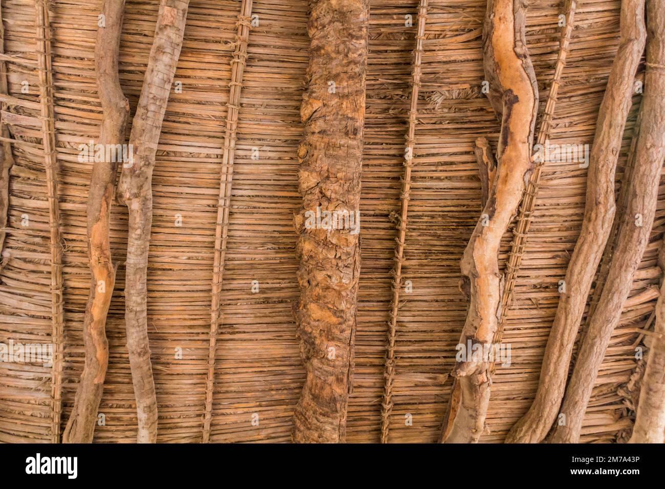 Palm leaf and wood ceiling in Al Qasr village in Dakhla oasis, Egypt ...