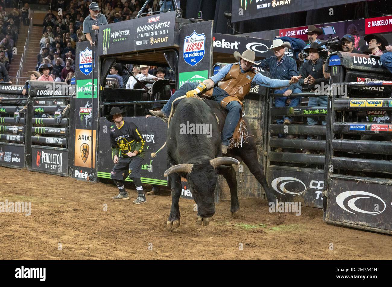 New York, New York, USA. 7th Jan, 2023. (NEW) 2023 Professional Bull ...