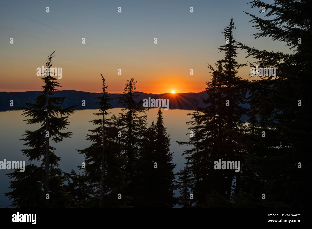 Sunset through pine trees lake hi-res stock photography and images - Alamy