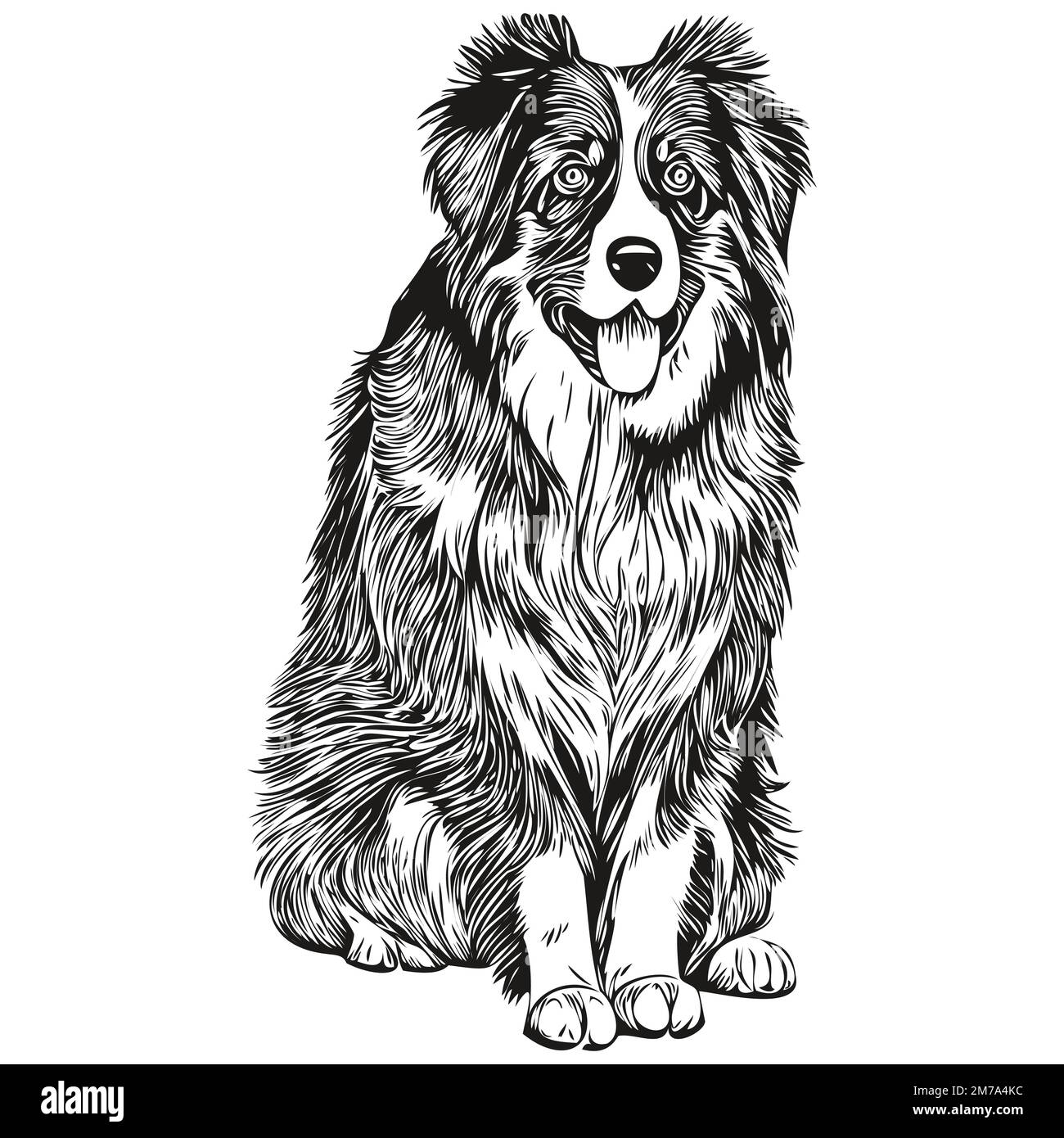 Australian dog vector vectors hi-res stock photography and images - Alamy