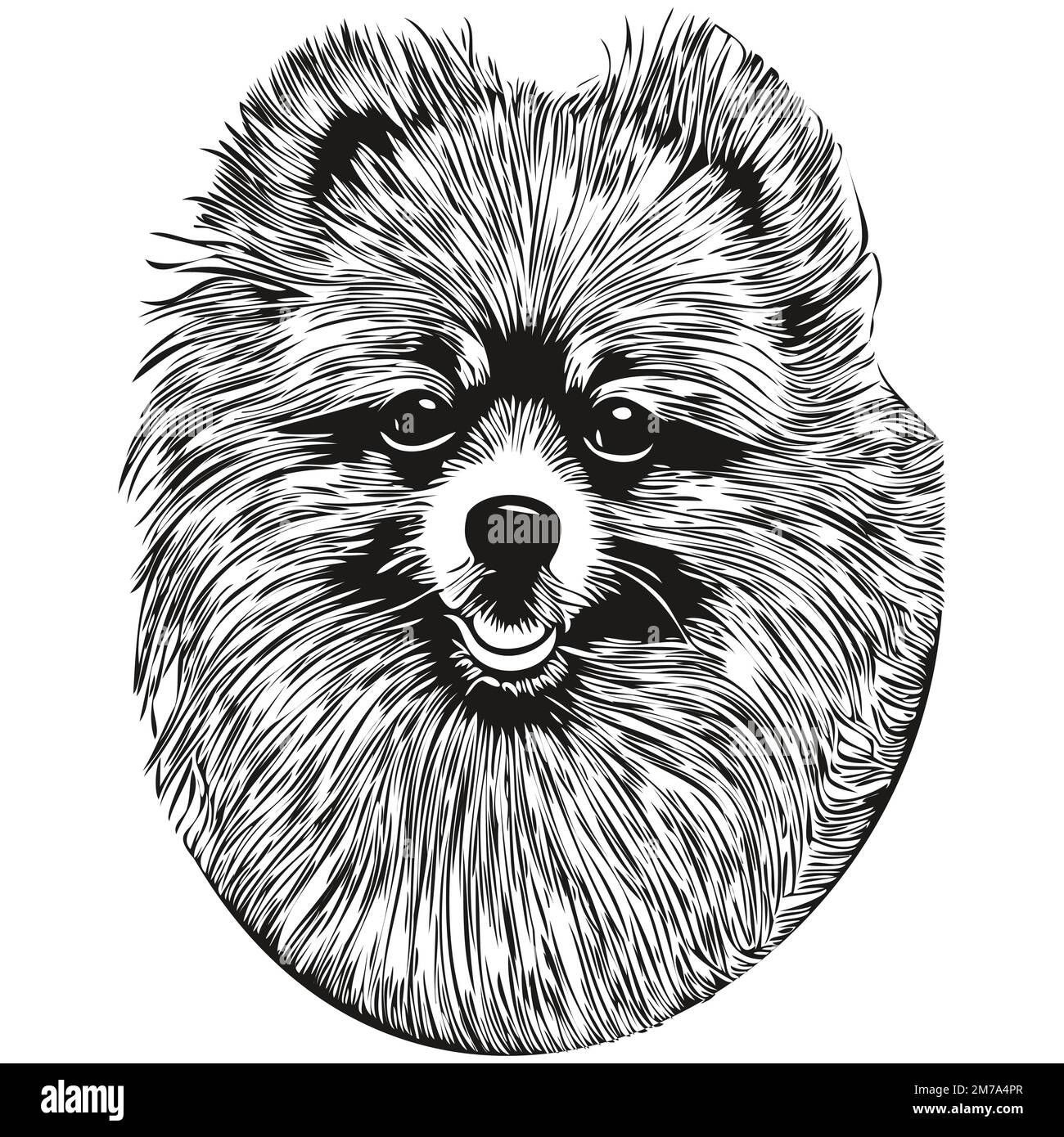 Spitz dog cartoon illustration hi-res stock photography and images - Alamy