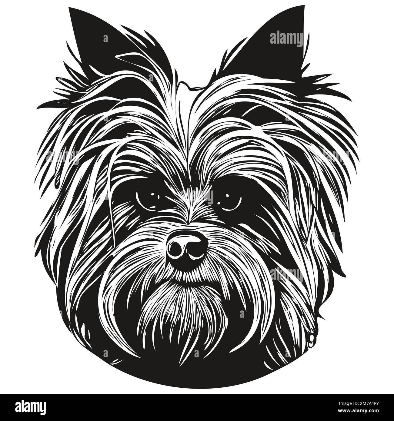 Terrier silhouette Stock Vector Images - Alamy