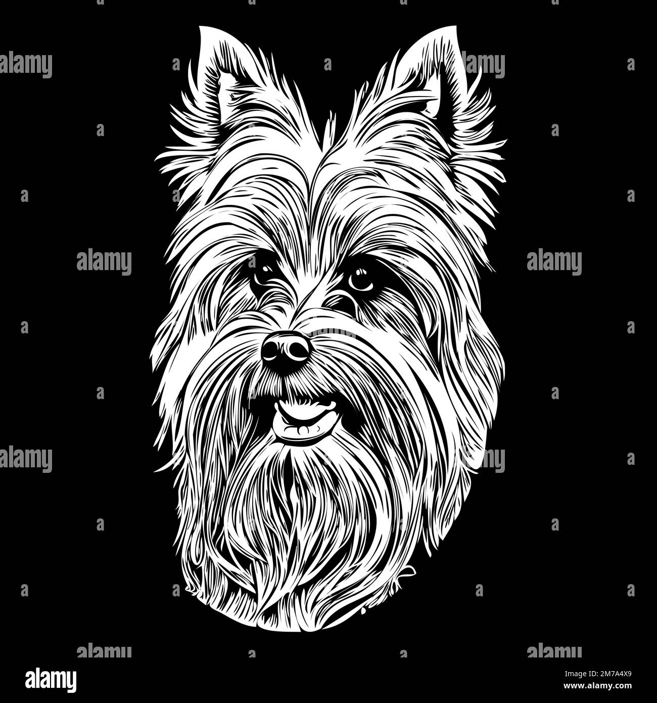 Line drawn vector vectors hi-res stock photography and images - Alamy