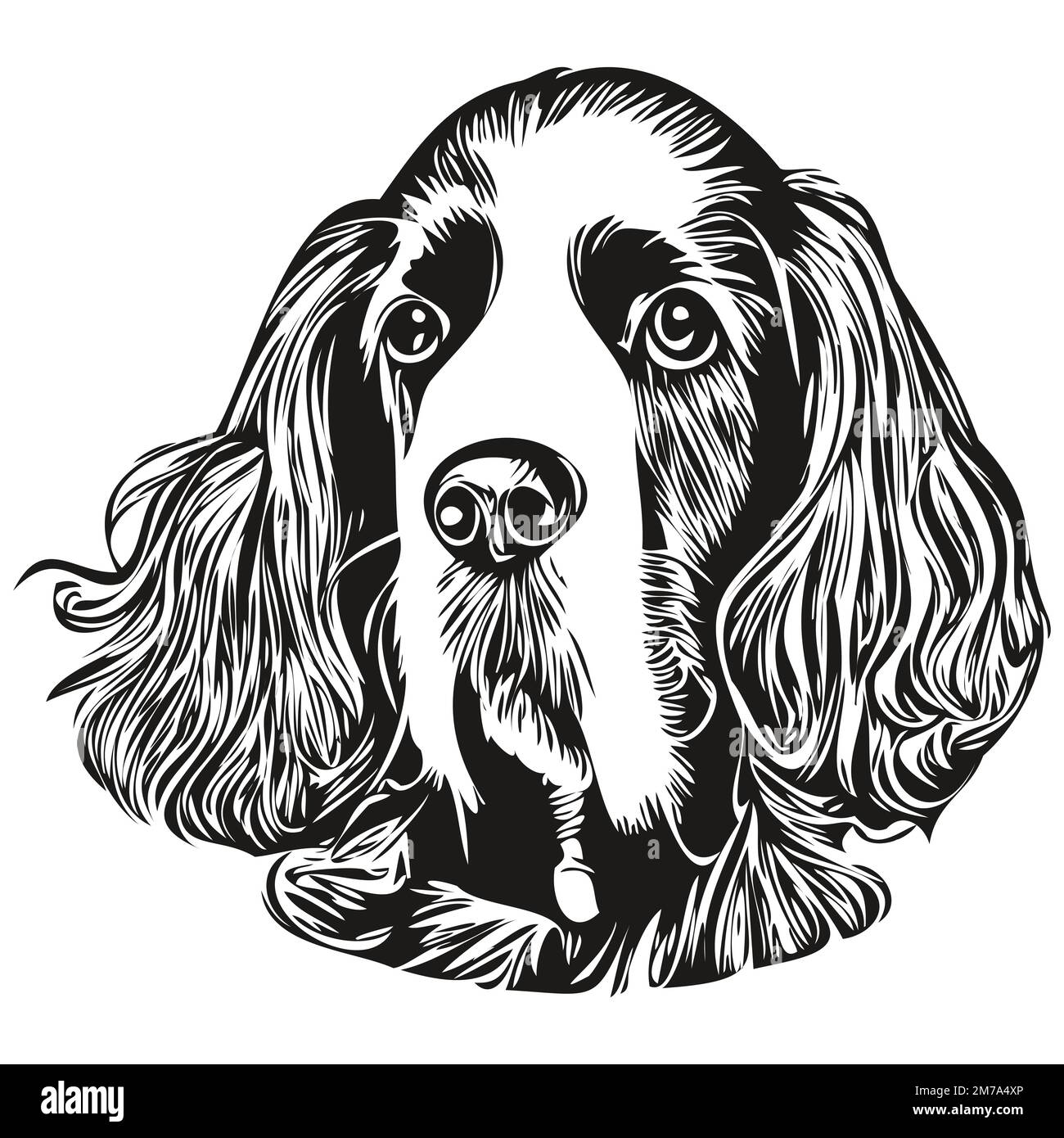 Black white spaniel dog Stock Vector Images - Alamy