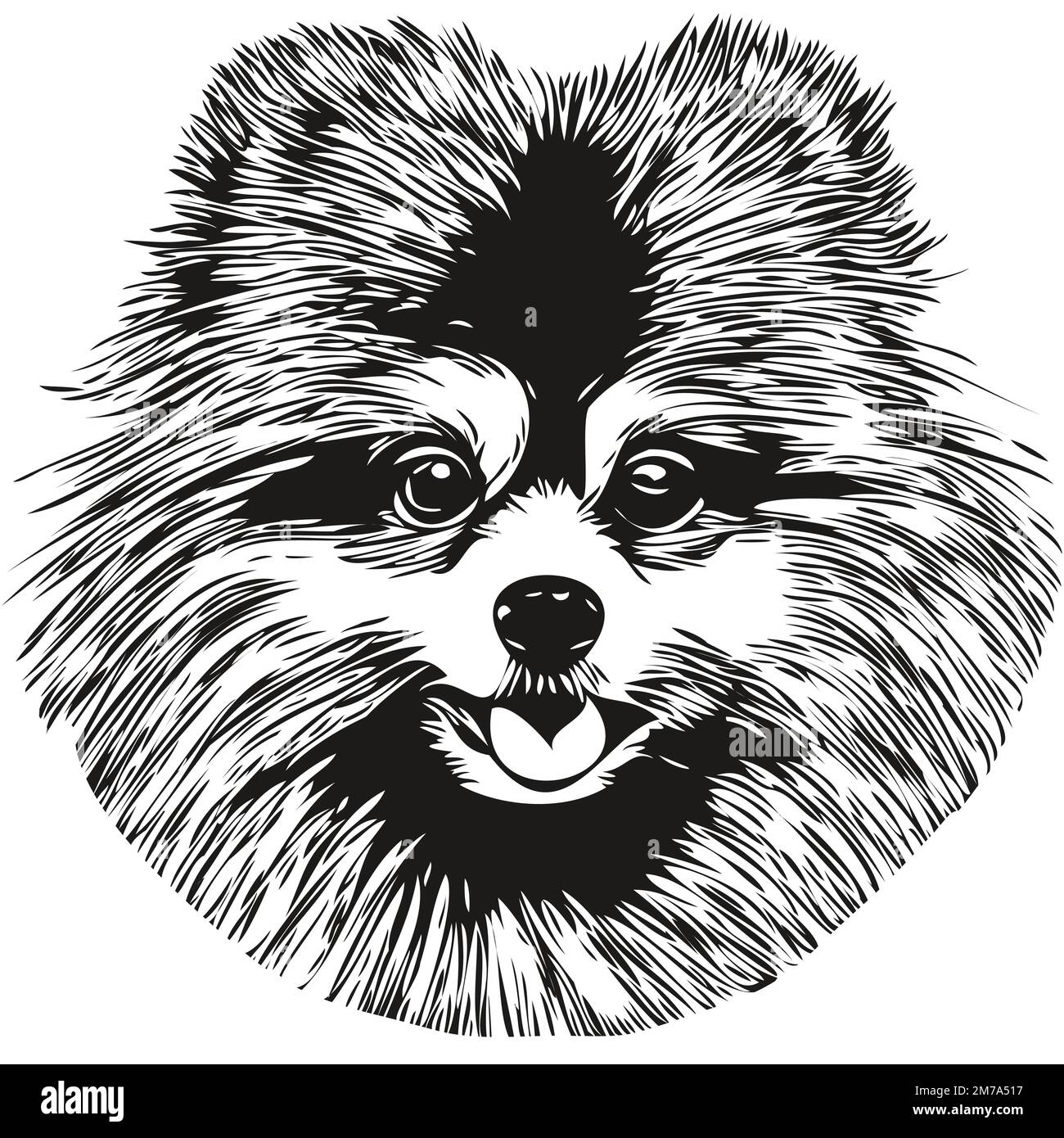 Spitz dog cartoon illustration hi-res stock photography and images - Alamy