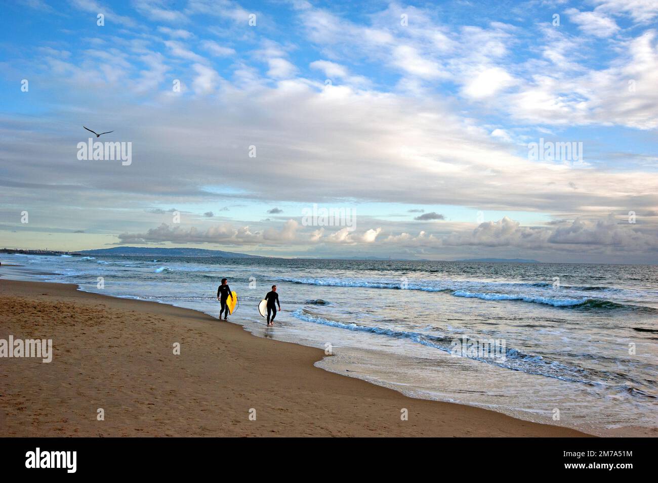 Venice pacific beach hi-res stock photography and images - Alamy