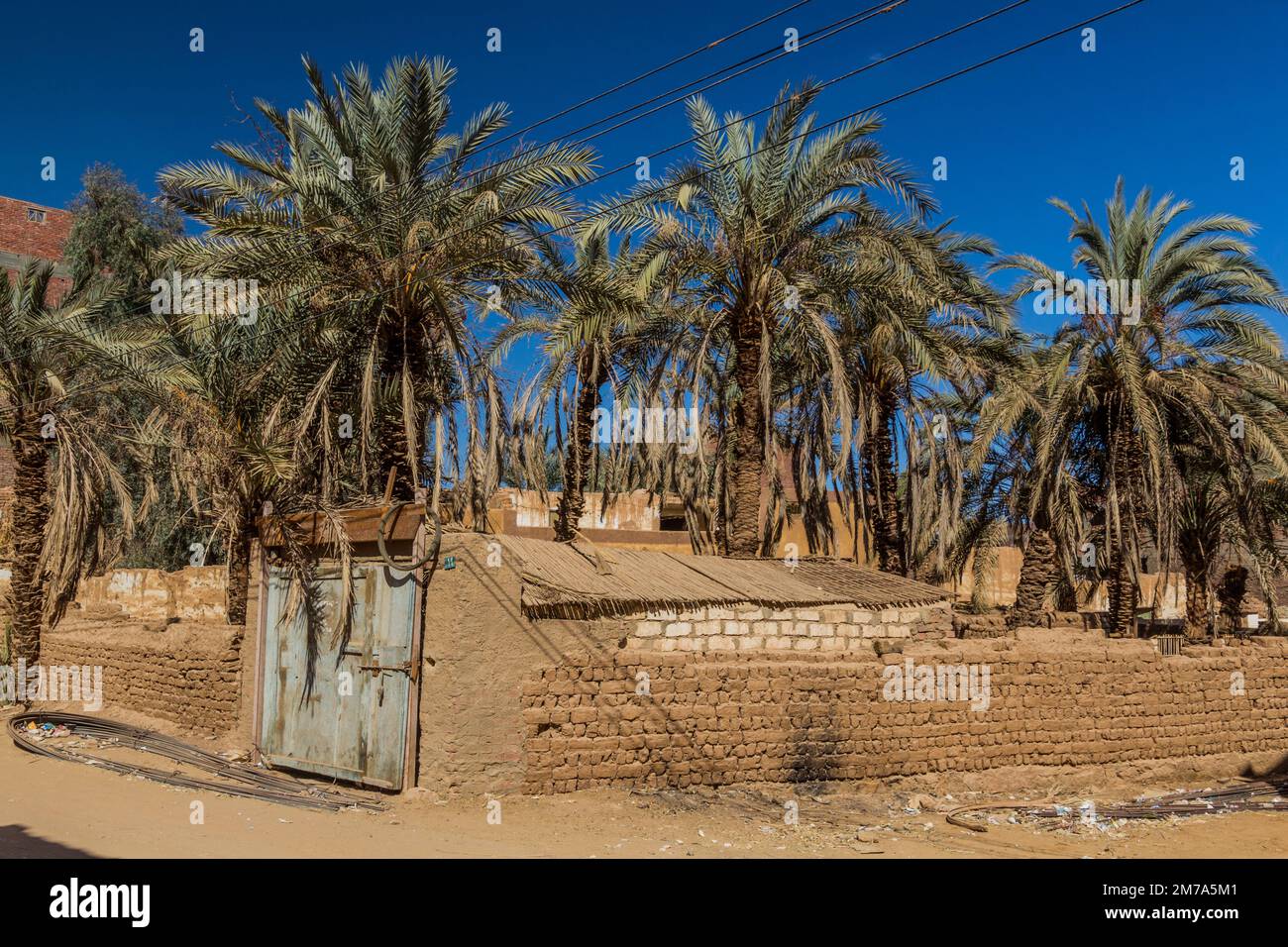 Palms in Mut town in Dakhla oasis, Egypt Stock Photo - Alamy