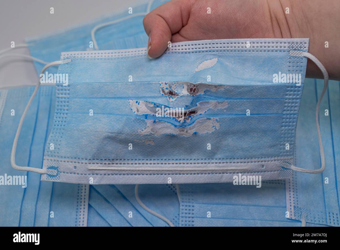 Burnt blue medical mask in hand against the background of new (not used ...