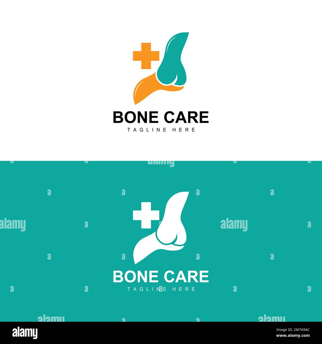 Chicken anatomy illustration Stock Vector Images - Alamy