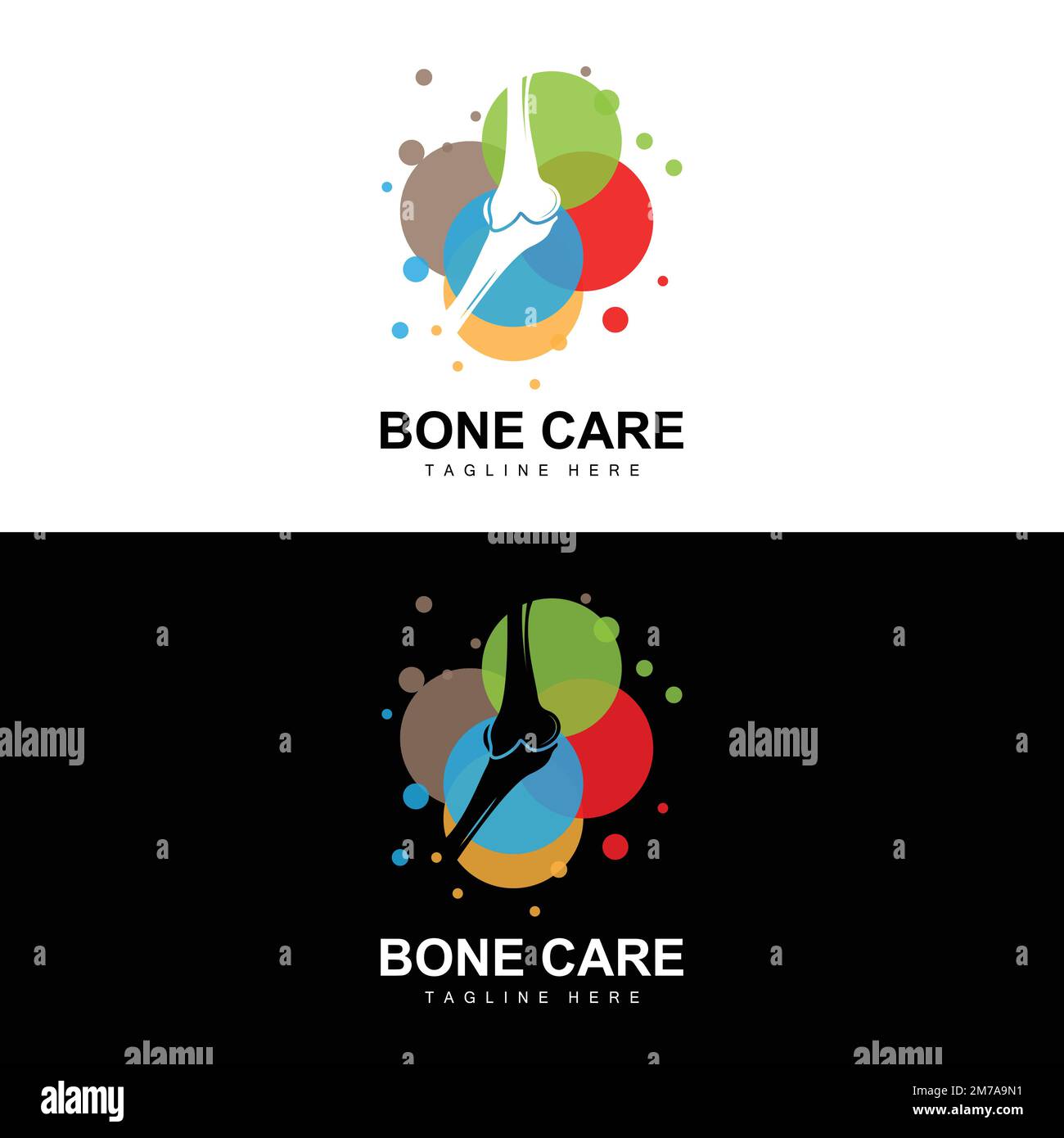 Chicken anatomy illustration Stock Vector Images - Alamy