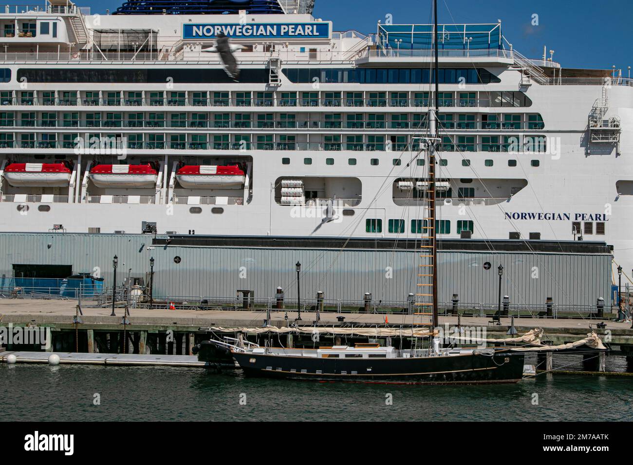 USA, Maine, Portland, Harbor and Bay, cruise port, cruise ships ...