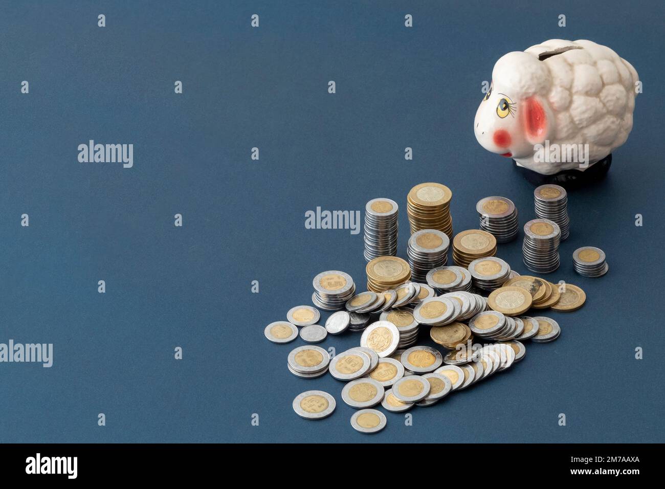 Mexican sheep hi-res stock photography and images - Alamy