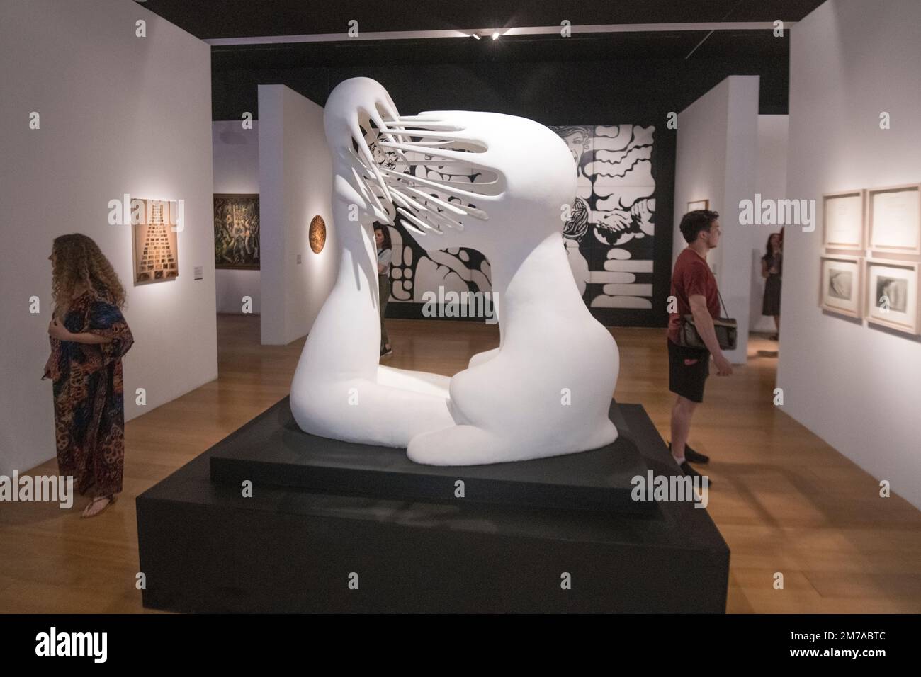 Museo de Arte Latinoamericano (MALBA). Buenos Aires, Argentina Stock ...
