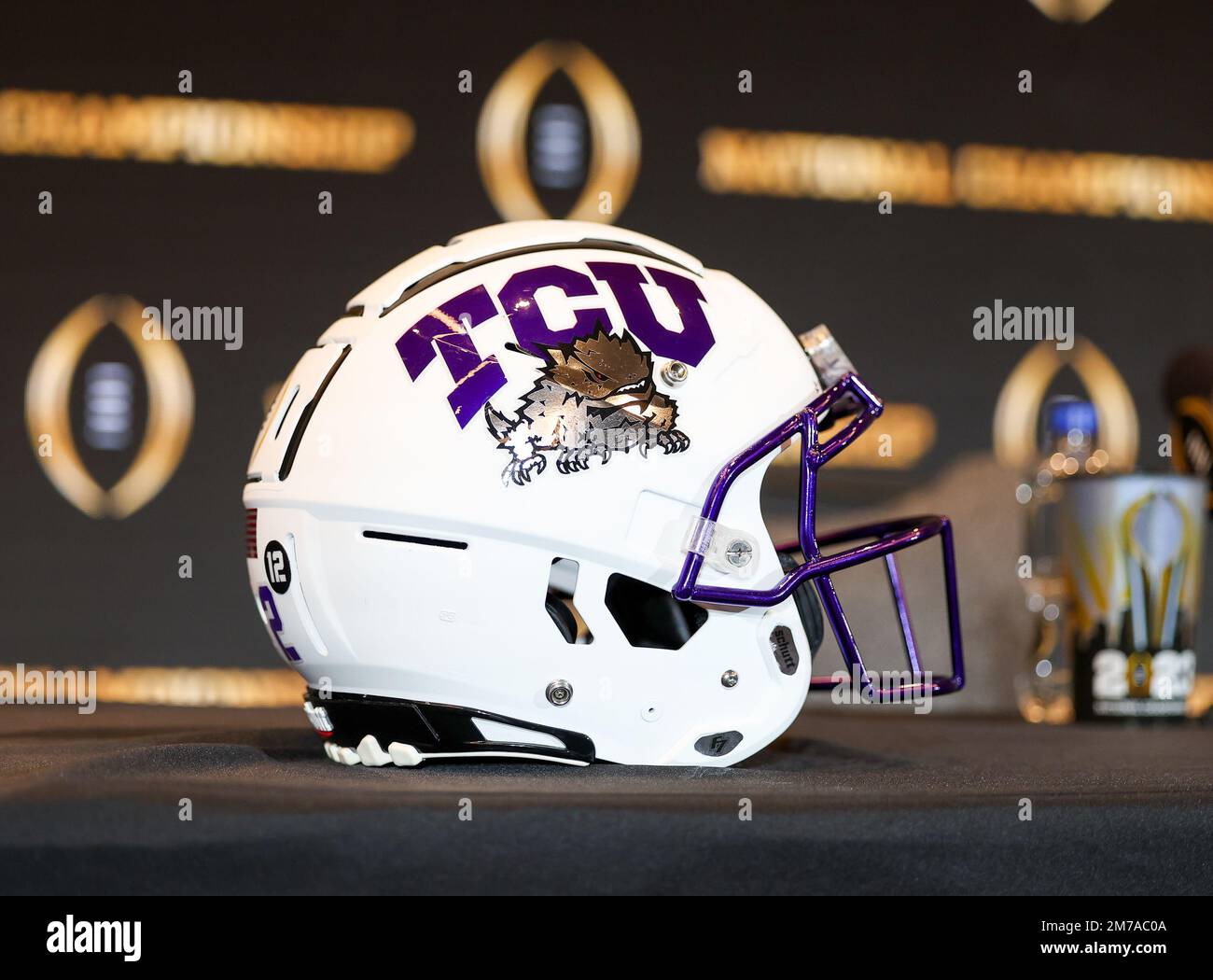 Tcu horned frog hi-res stock photography and images - Alamy