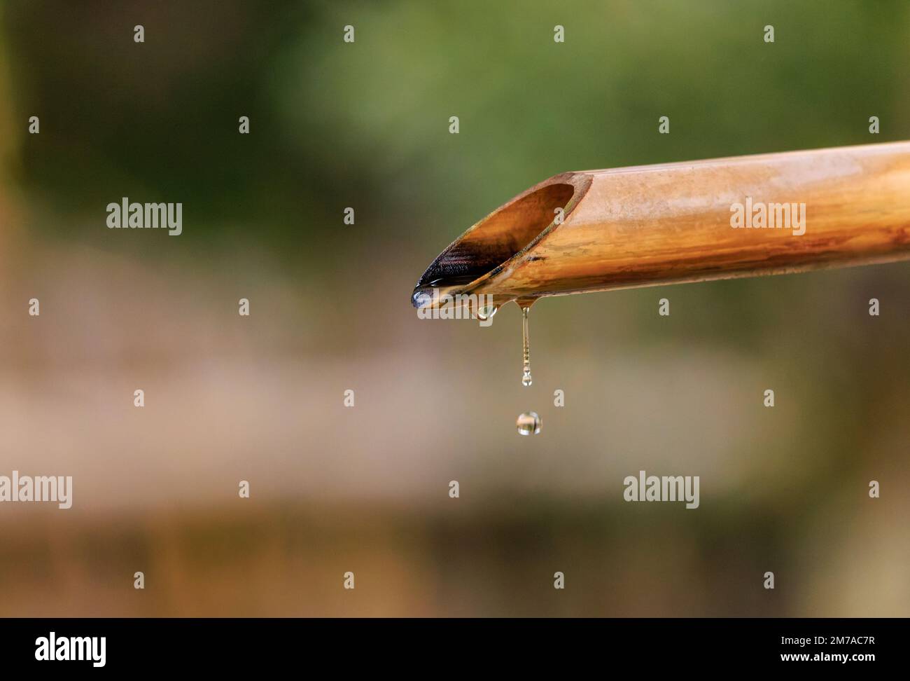 Closeup water drops falling from traditional bamboo pipe Stock Photo ...