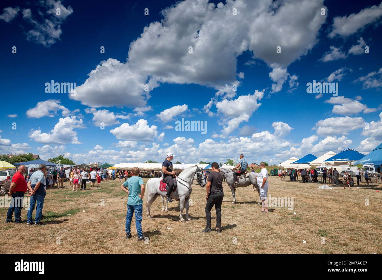 Picture of three young men riding horses in the Rumska Straparijada ...