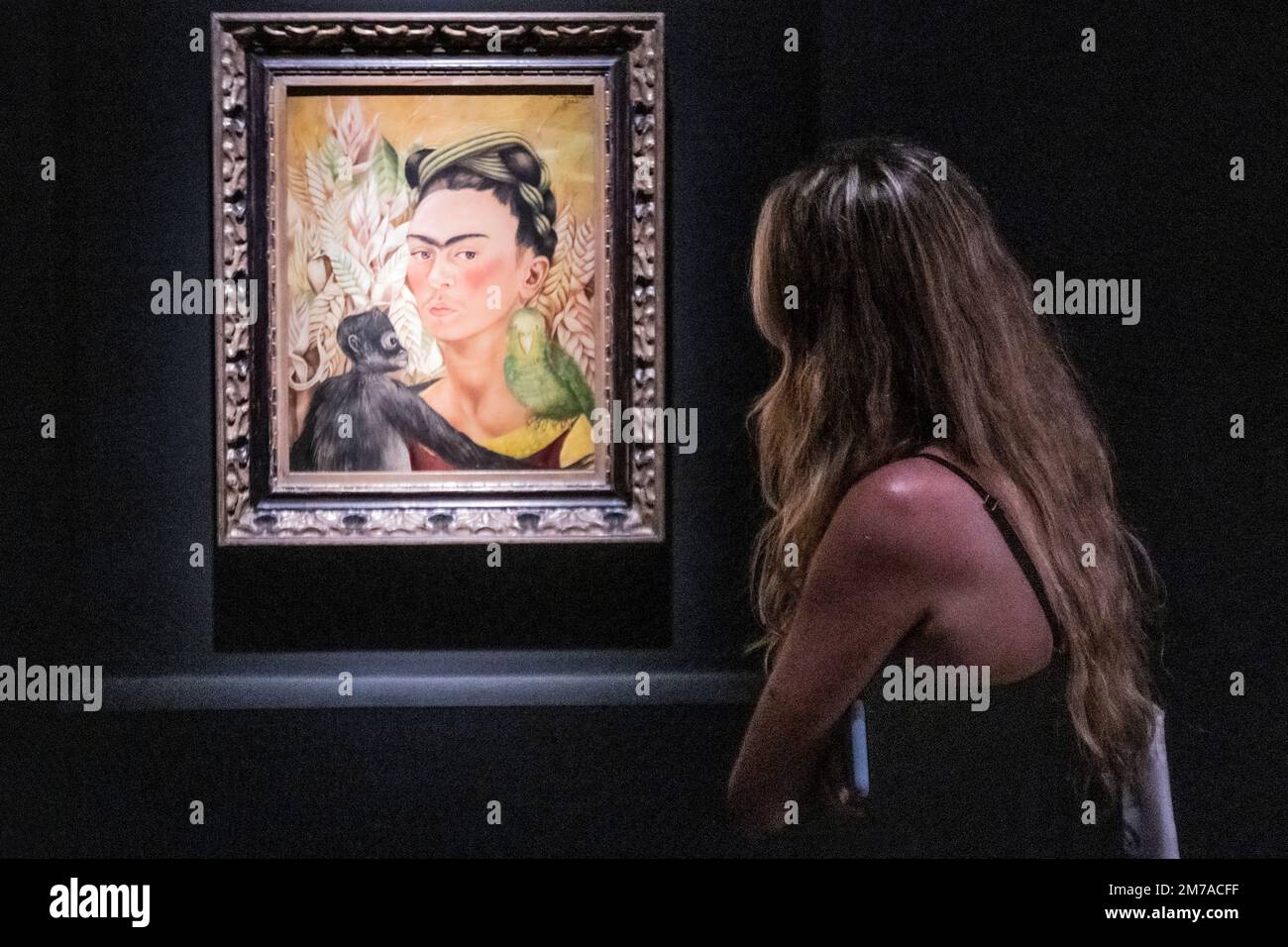 Autorretrato frida kahlo hi-res stock photography and images - Alamy