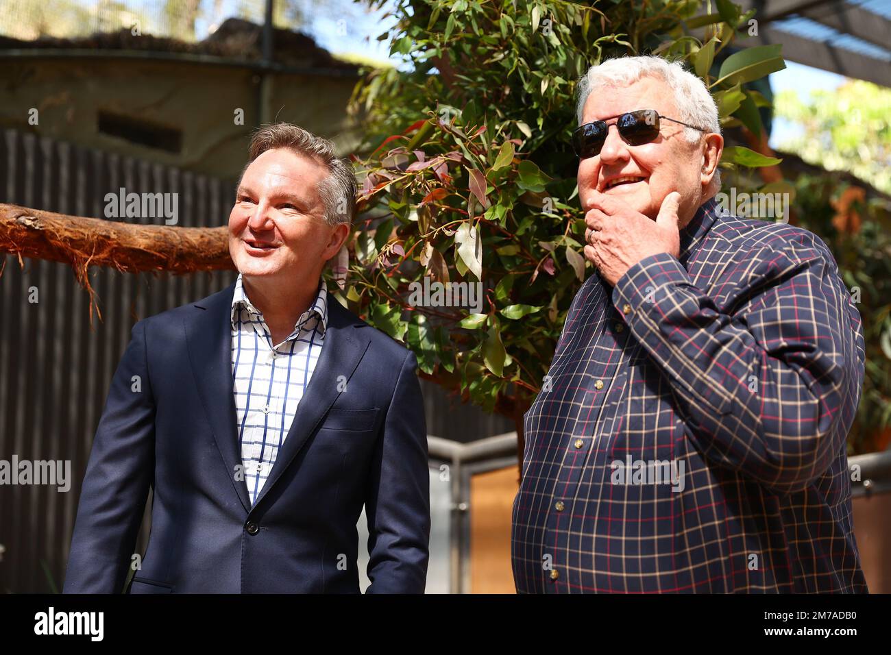 Minister for Climate Change and Energy Chris Bowen and Professor Ian ...