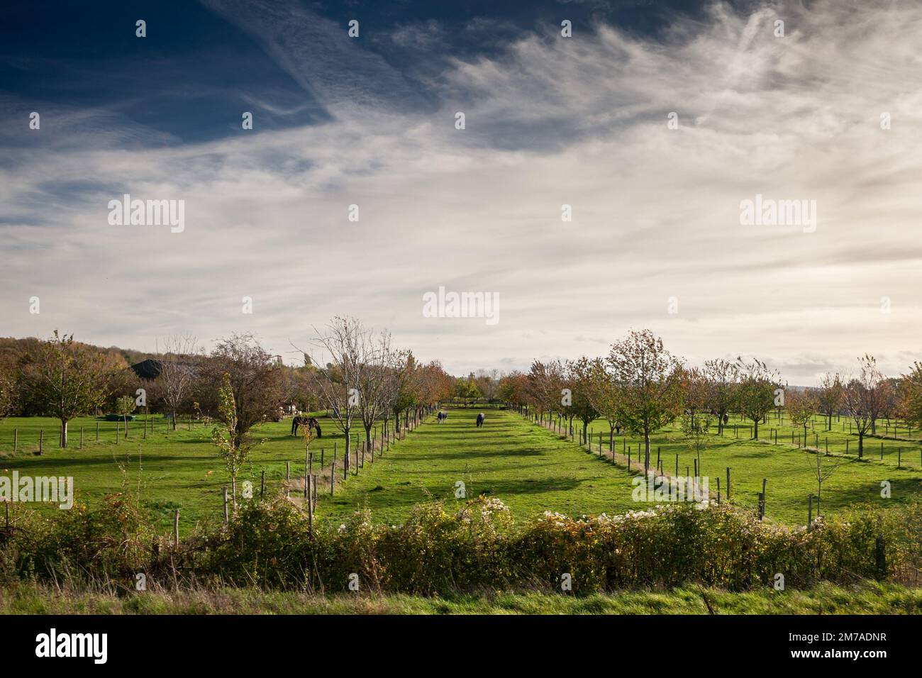 Picture of a limburg landscape in the countryside, with a typical ...