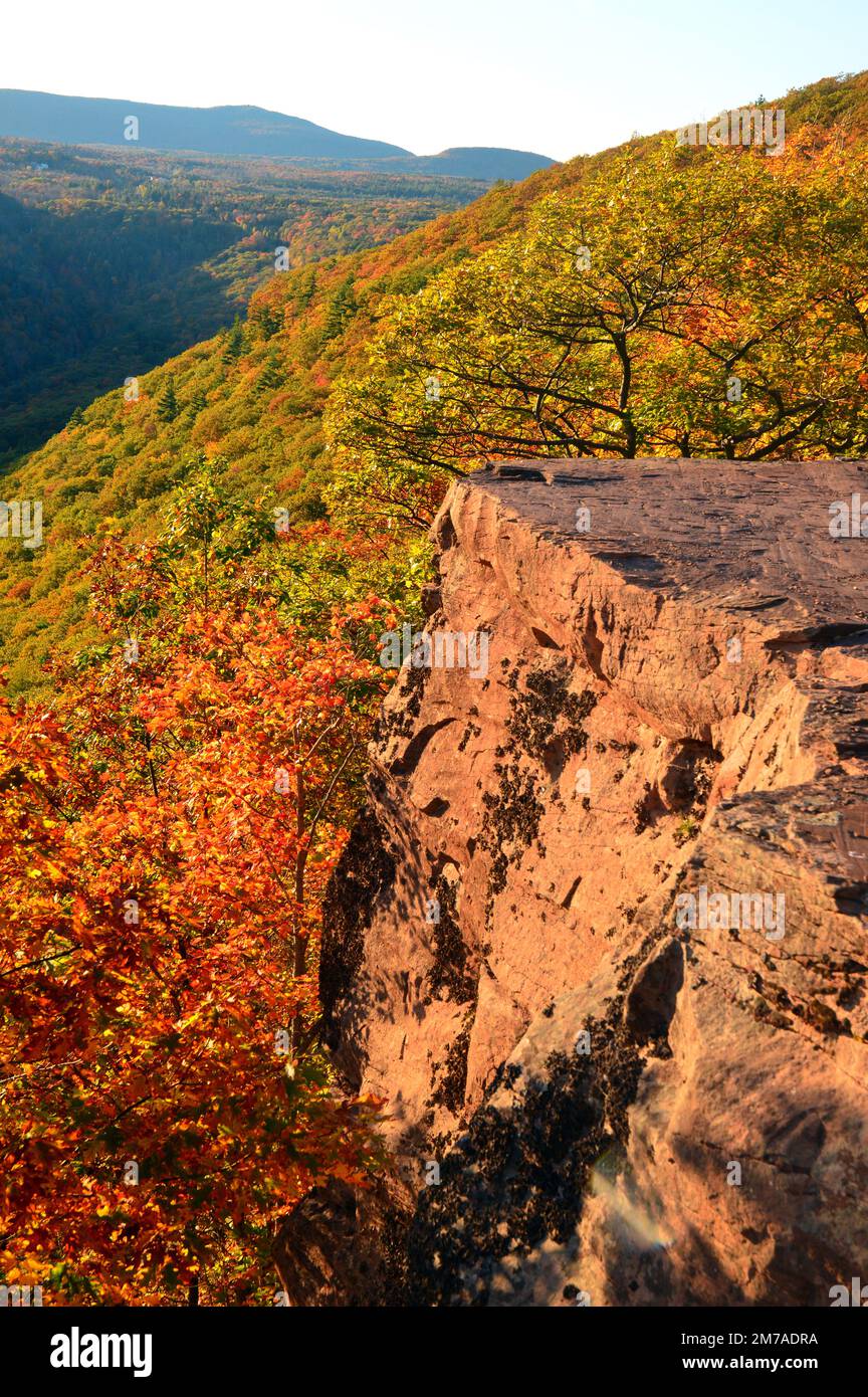 Autumn leaves stone rock trees hi-res stock photography and images - Alamy