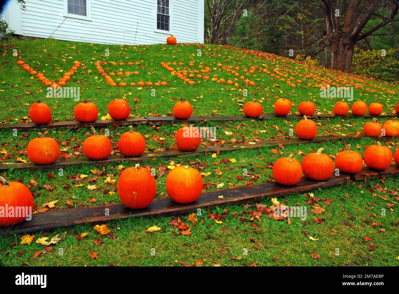 Autumn pumpkins spell out Vermont at a roadside farm market just before ...