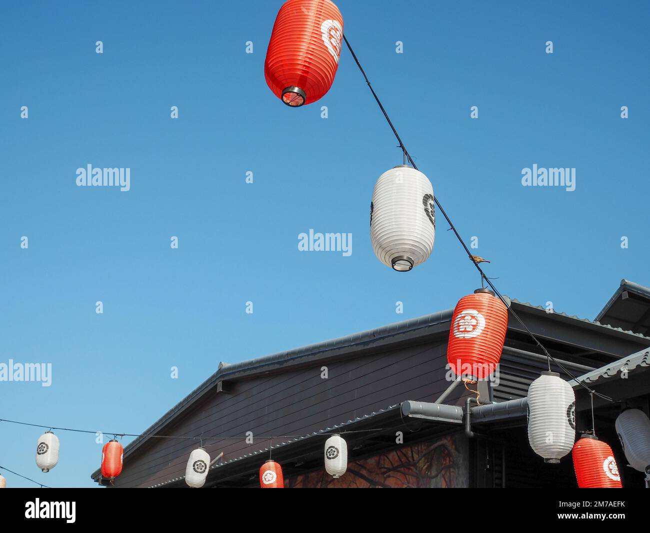 Japanese lantern hung in front of Japanese Restaurant, Japanese text on ...